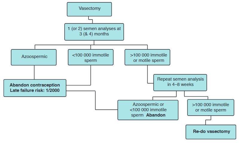 Seminograma post-vasectomía ¿cómo se realiza y cómo interpretarlo ...
