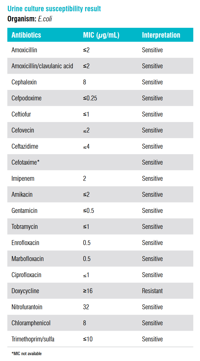 ¿Cómo interpretar un antibiograma? – Urología Basada en Evidencia