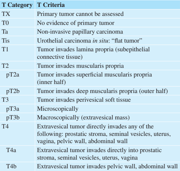 Estadificación TNM – Urología Basada en Evidencia